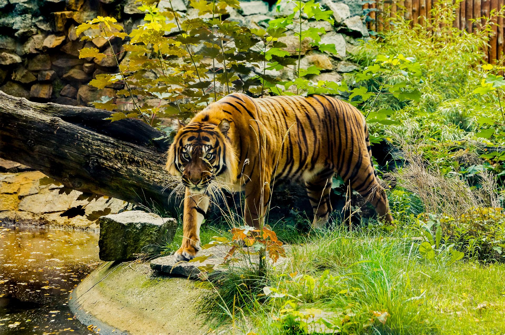 Four Key Sectors That Make Cambodia a Regional New Tiger Economy