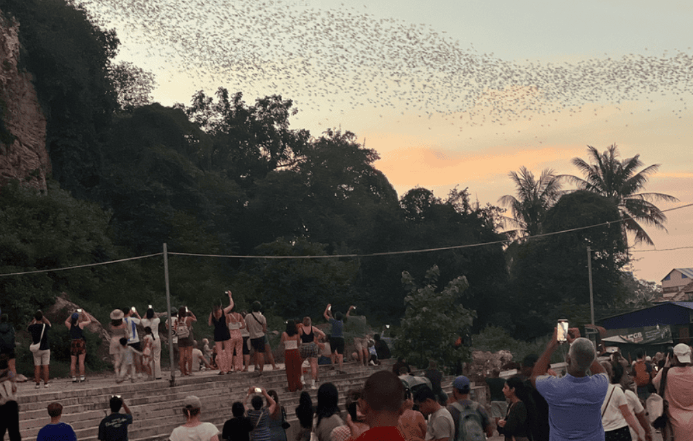 Why Is the Bats Cave in Battambang So Famous?